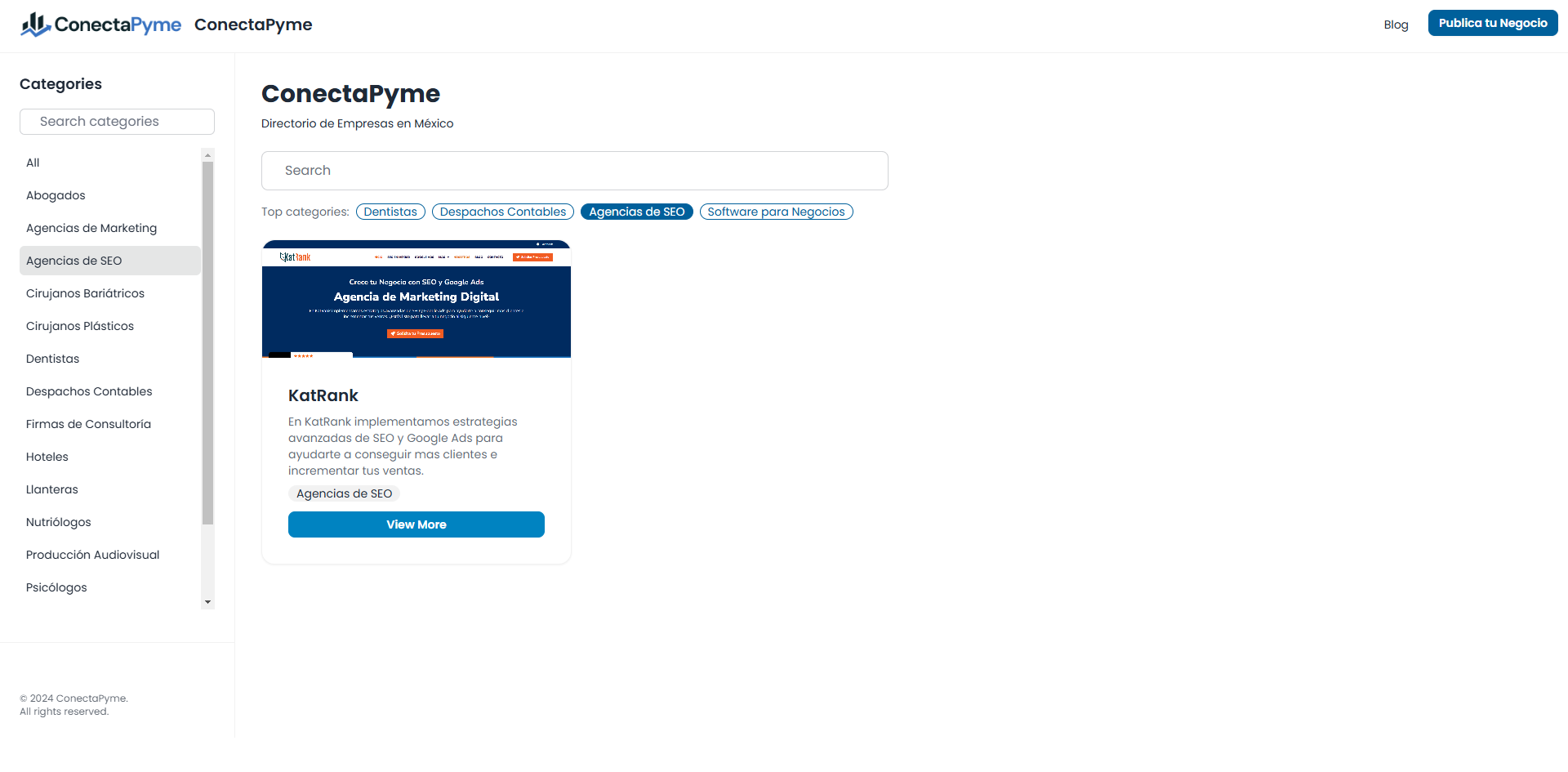 Agencias de SEO en México - ConectaPyme