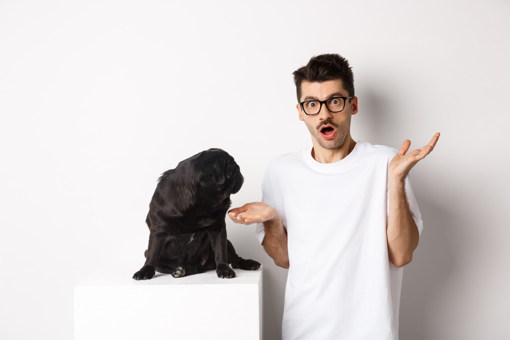 Why Yelling at Your Dog is Ruining Your Training (And What to Do Instead)
